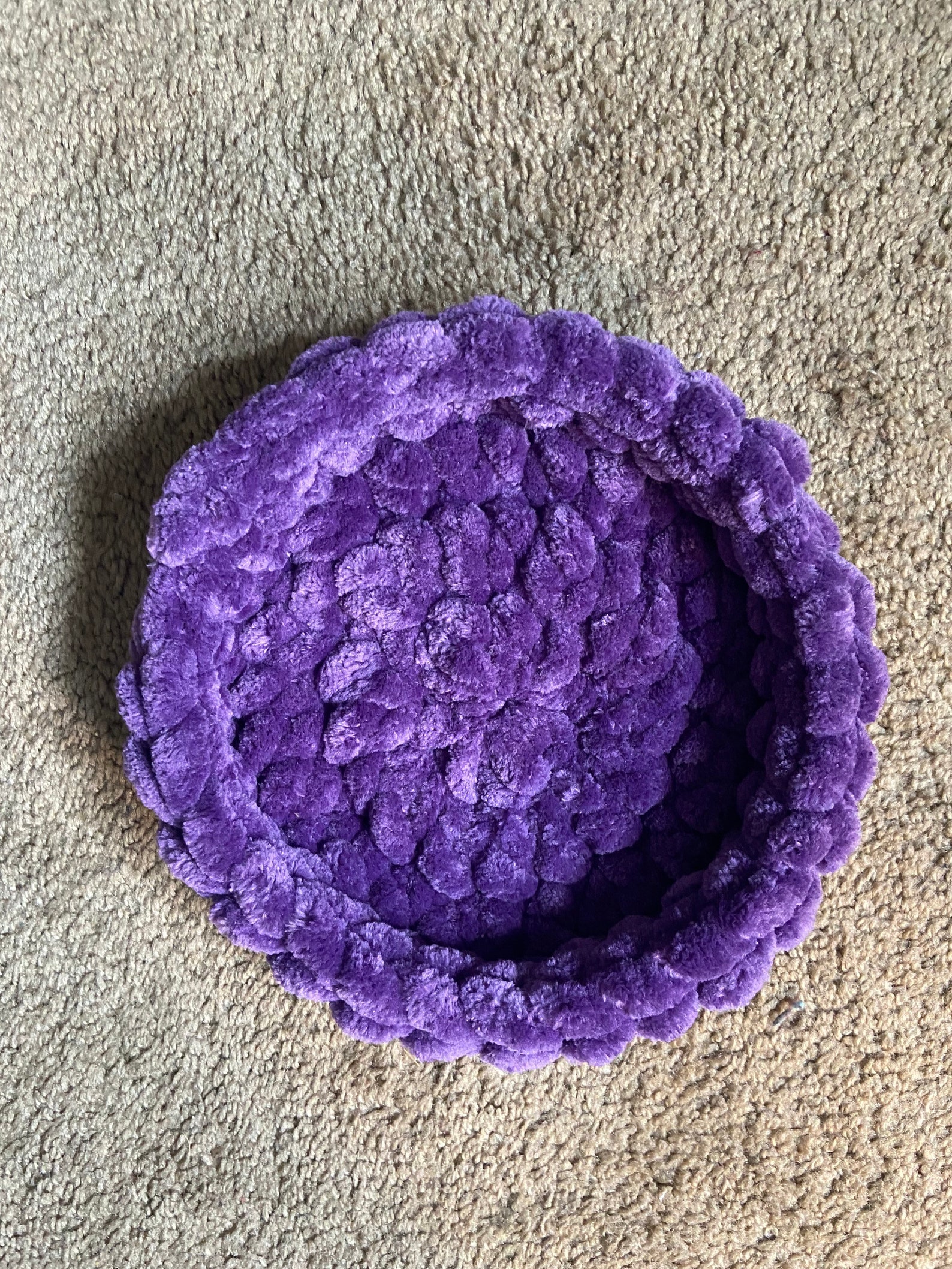 Small Reptile Beds for Leopard Geckos - Etsy