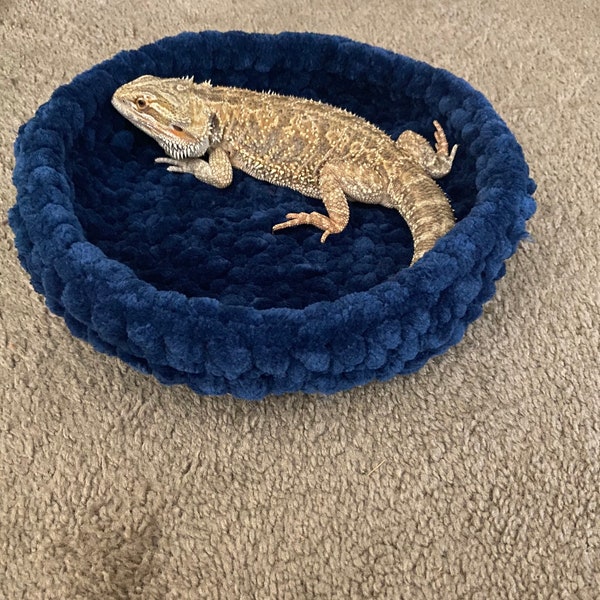 Bearded Dragon - Etsy