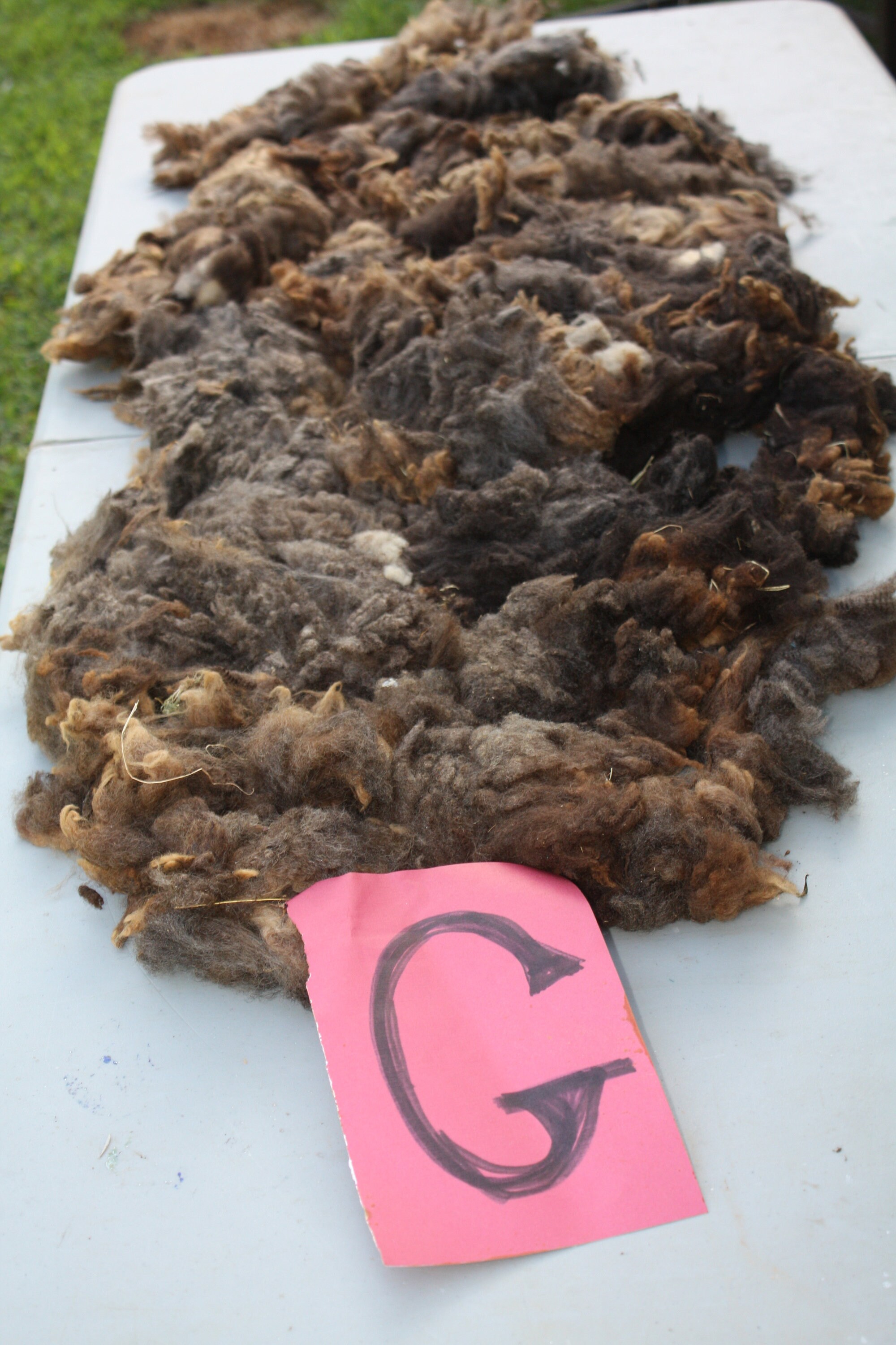 Raw Wool Fleece - Etsy
