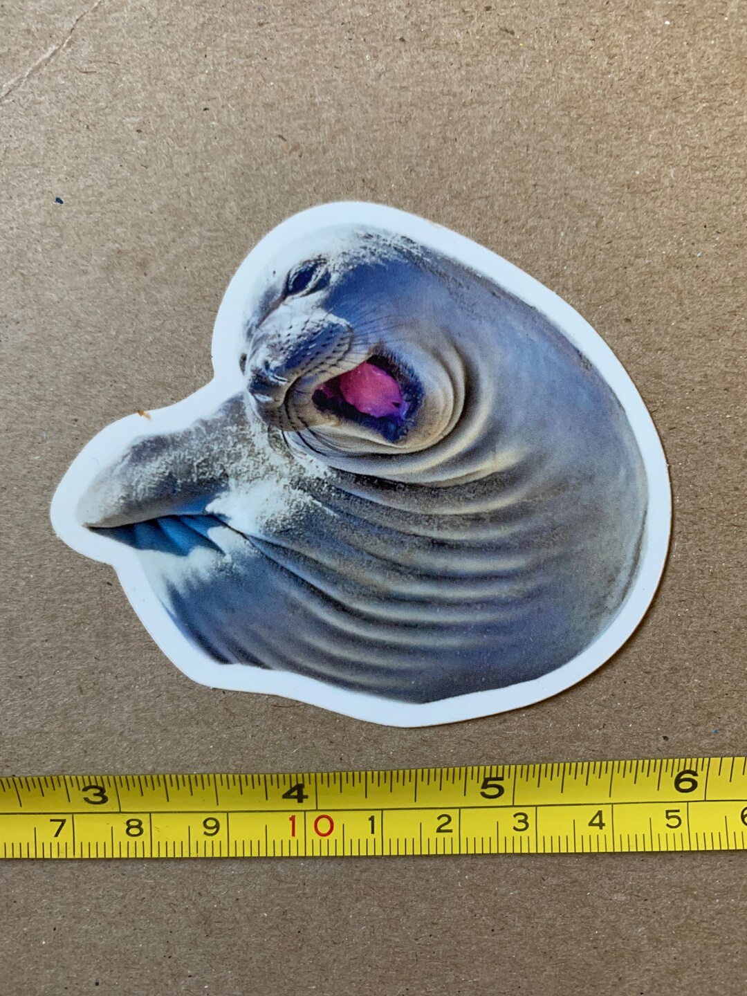 Die-cut Sticker: Elephant Seal - Etsy