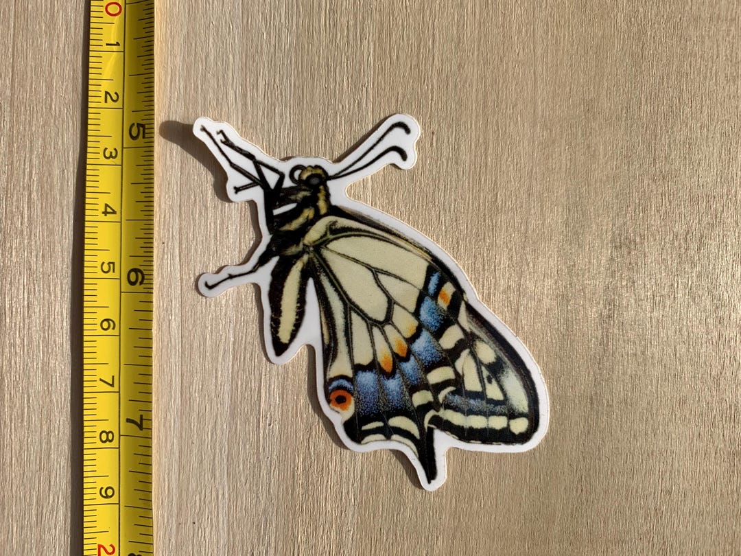 Die-cut Sticker: Swallowtail Butterfly - Etsy