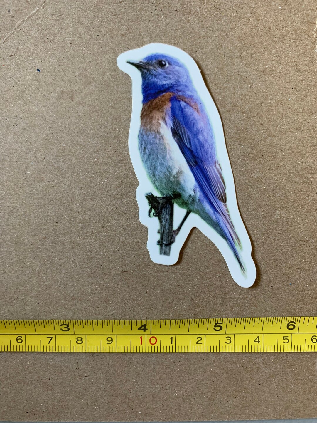 Die-cut Sticker: Bluebird - Etsy