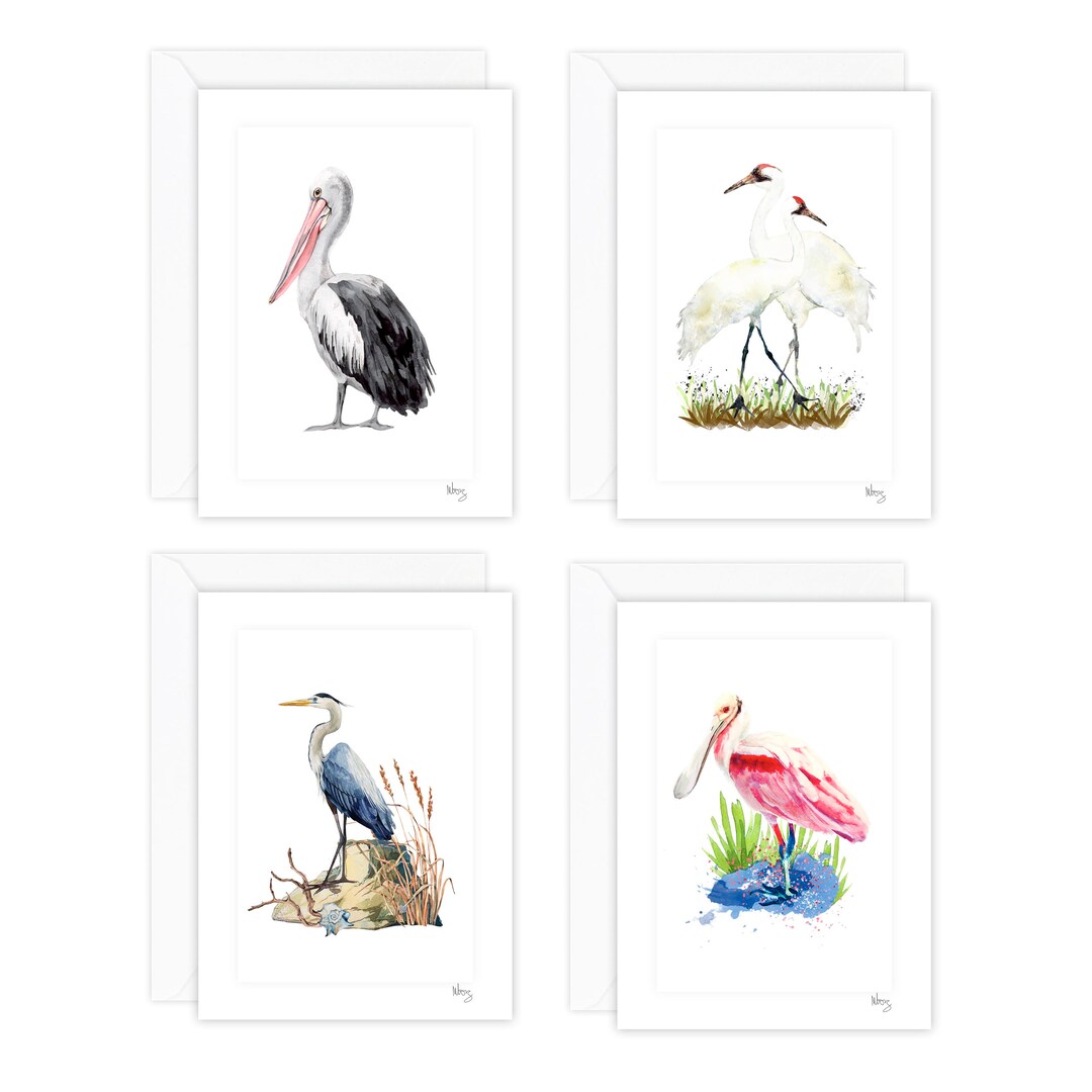 8 Coastal Bird Note Cards, Pelican Note Cards, Heron Note Cards ...