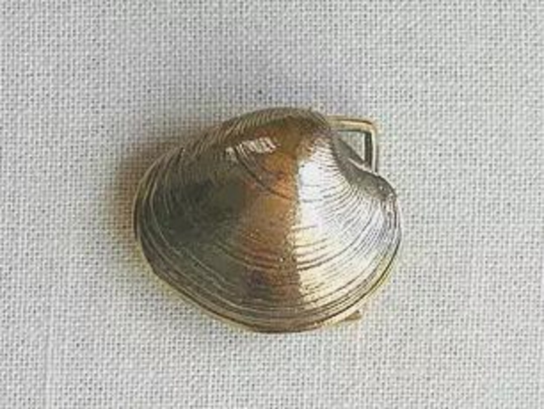 Littleneck Clam Shell Handmade Belt Buckle - Etsy