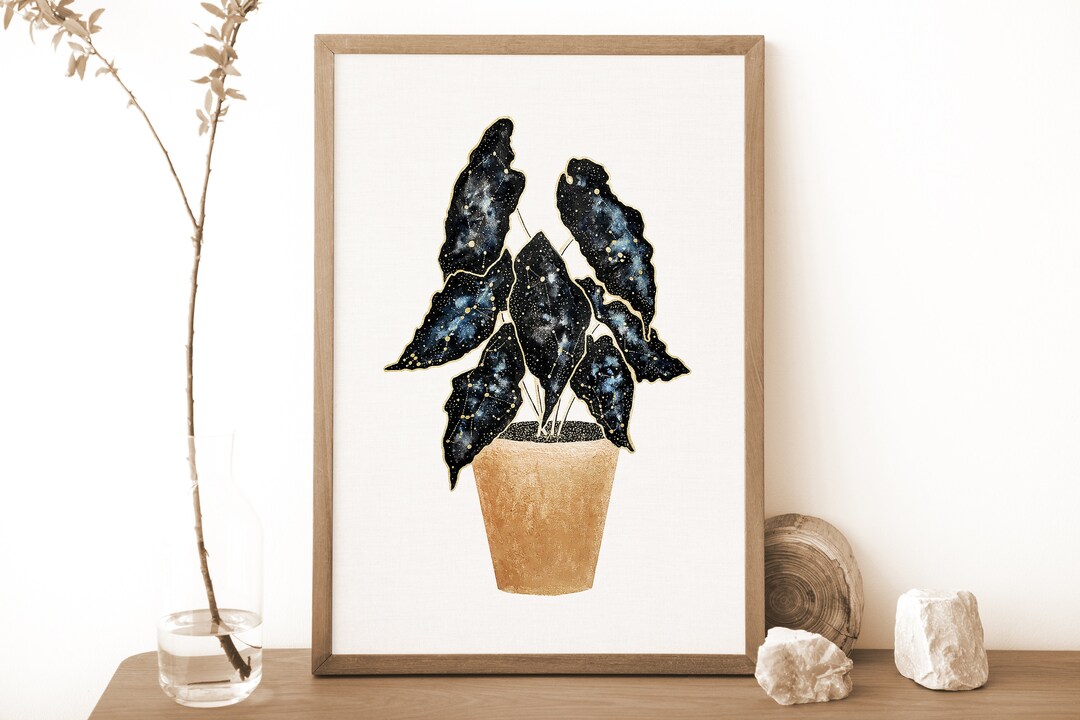Botanical Celestial Print Plant and Constellations Witchy - Etsy