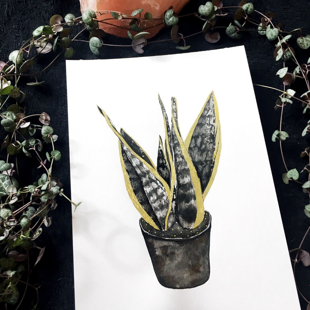 Snake Plant Painting: Original Watercolor Botanical Art, Black & Gold ...