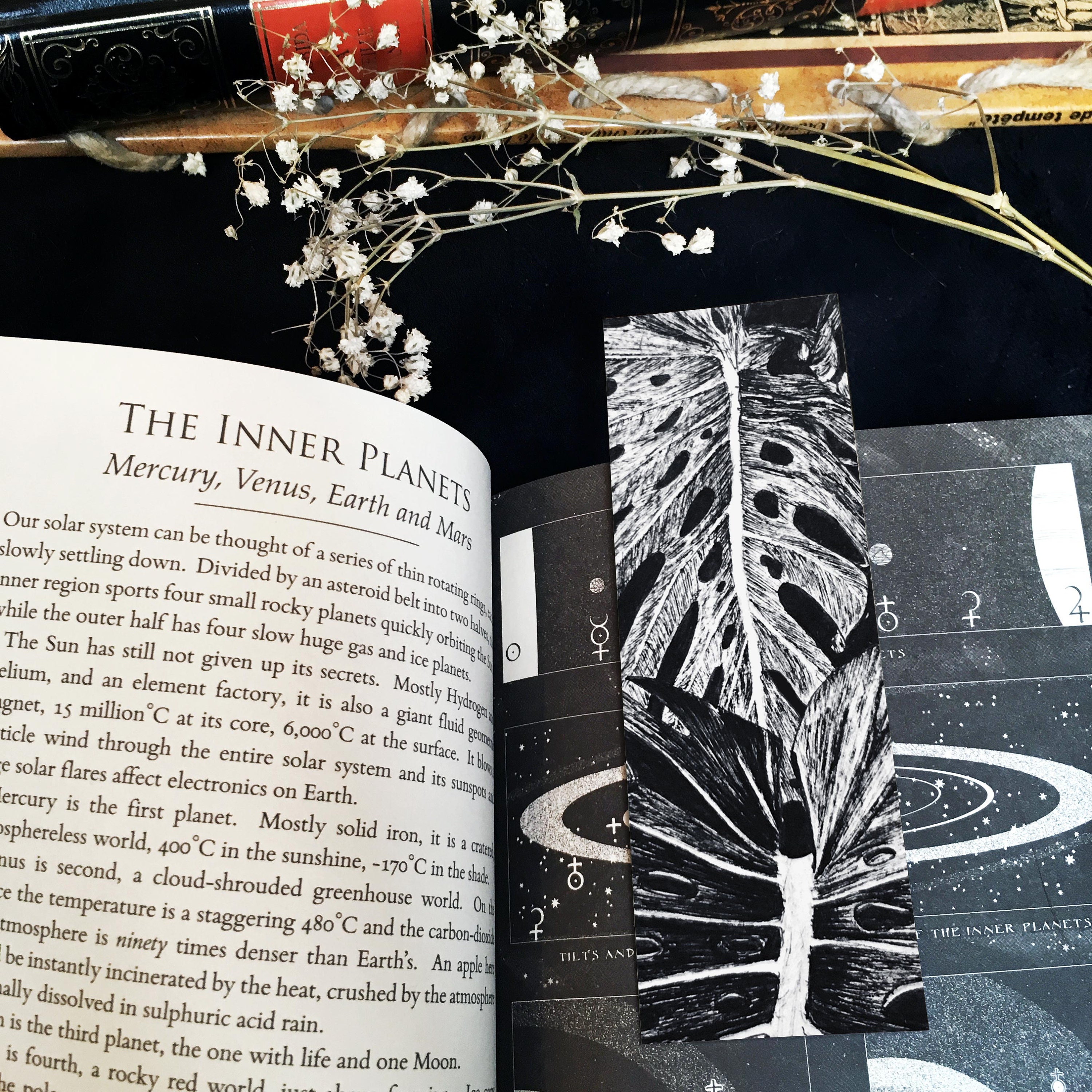 Plant Bookmarks Set or Individual Botanical Bookmarks Black - Etsy UK