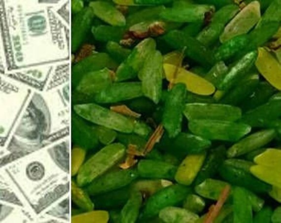 1 Pound of Hoodoo Lucky Money Rice - Etsy