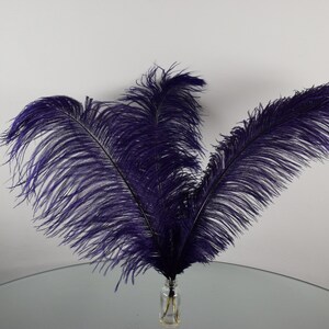 QUILL PEN-PURPLE Ostrich Feather-magic Writing-spell Casting - Etsy