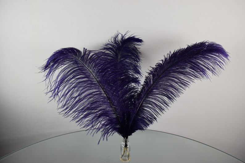 QUILL PEN-PURPLE Ostrich Feather-magic Writing-spell Casting - Etsy
