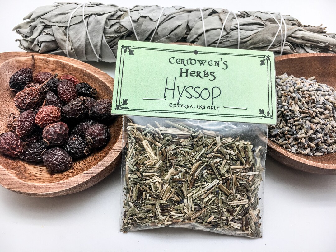 HYSSOP Dried Herbs - Etsy
