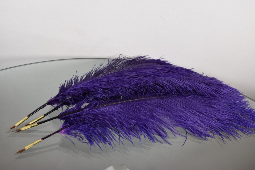 QUILL PEN-PURPLE Ostrich Feather-magic Writing-spell Casting - Etsy