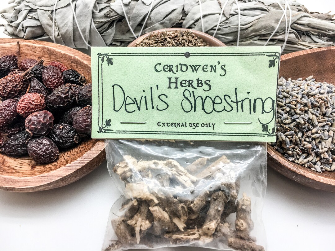DEVIL'S SHOESTRING Dried Herbs - Etsy
