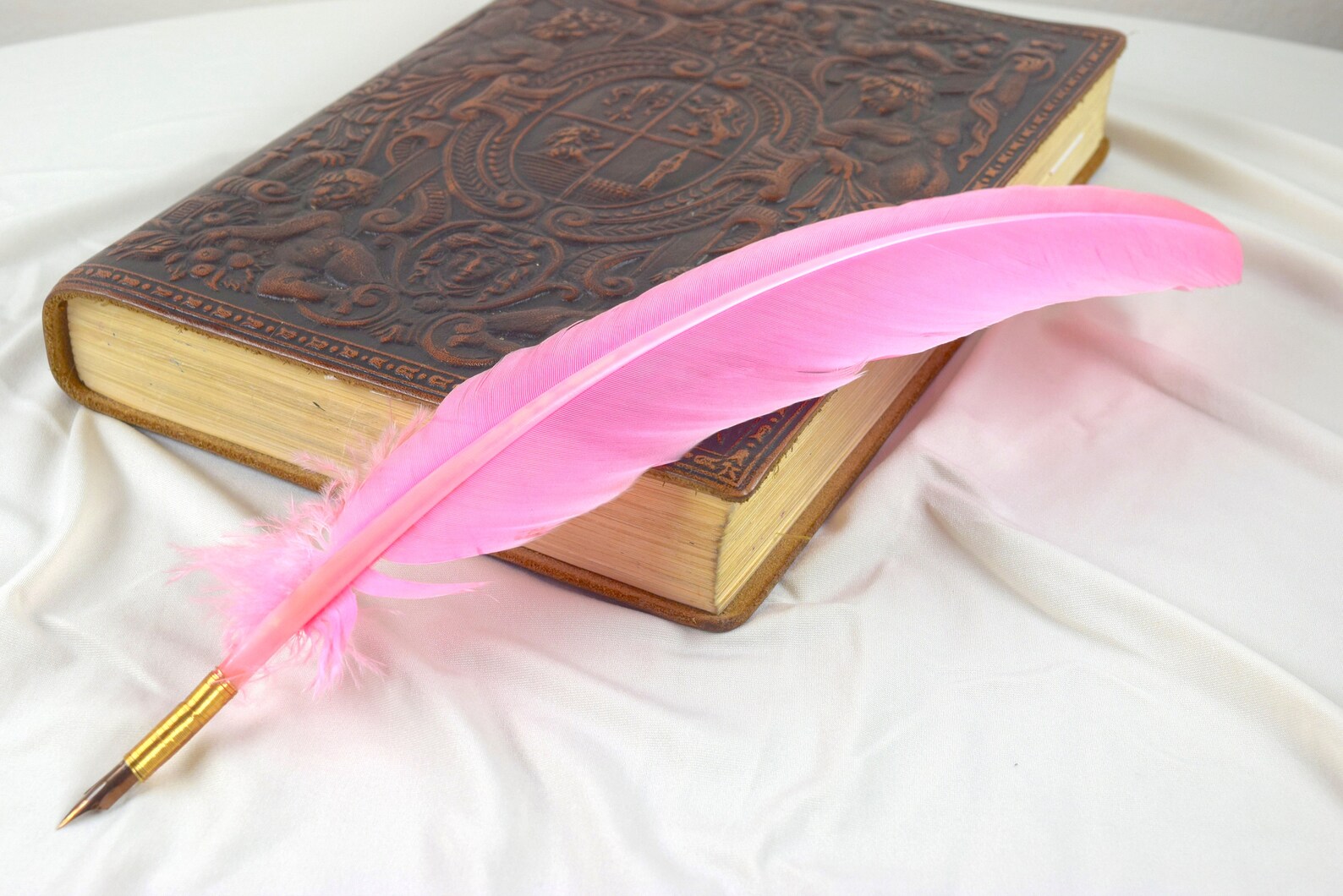 QUILL PEN-PINK Turkey Feather-calligraphy-magic Writing-spell - Etsy