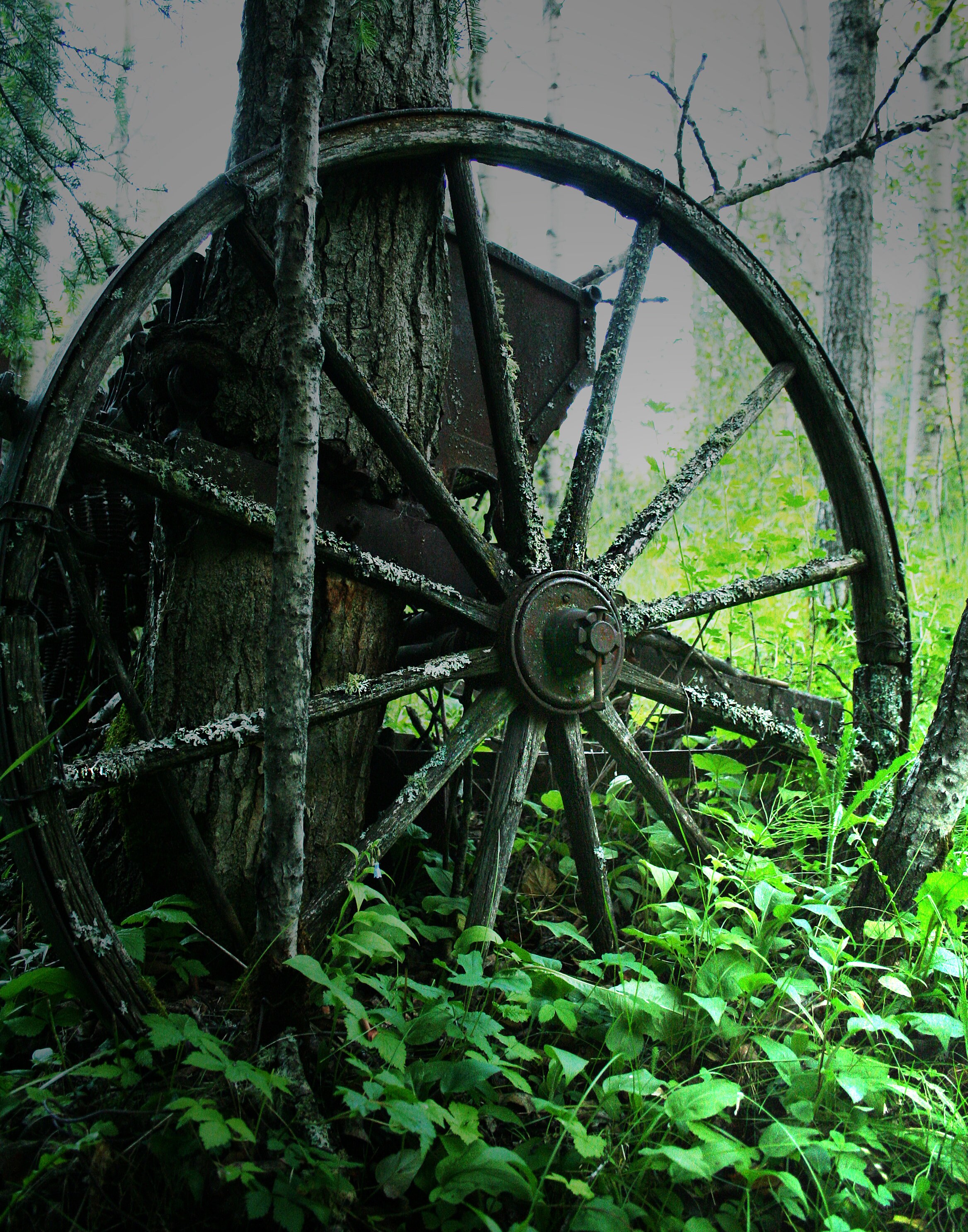 Antique Wagon Wheel and Tree. - Etsy