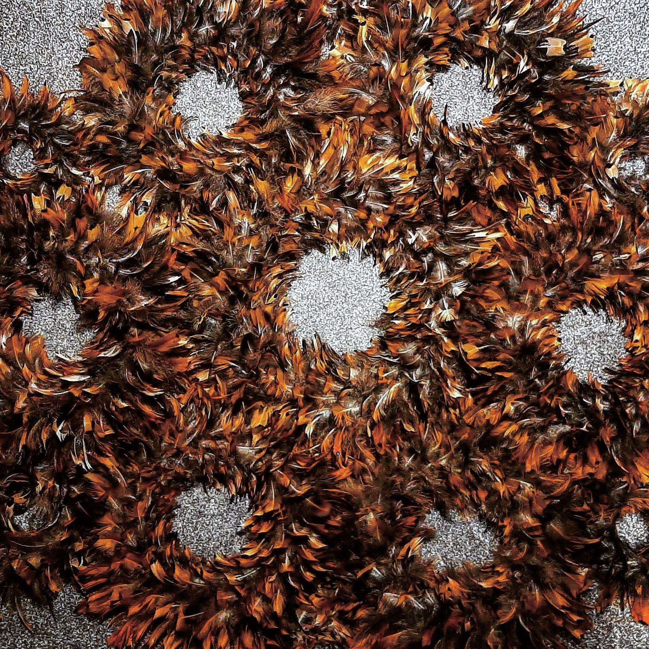 Spotty Male Pheasant Feather Wreath Wall Decor or Centrepiece LARGE - Etsy