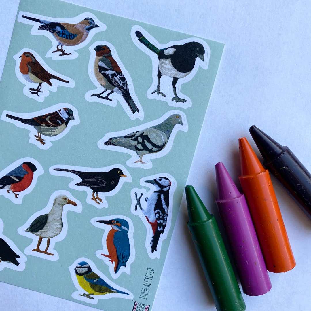 British Bird Sticker Sheet - 100% Recycled - Etsy UK