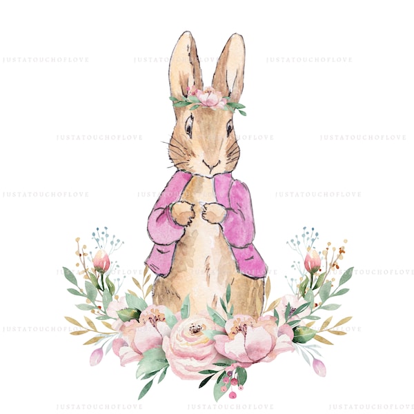 Peter Rabbit Clipart - Etsy