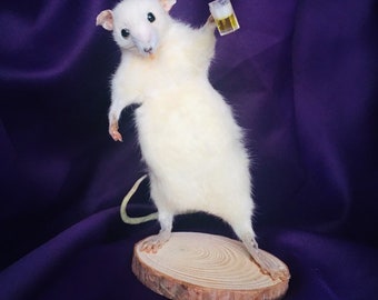 Taxidermy rat | Etsy