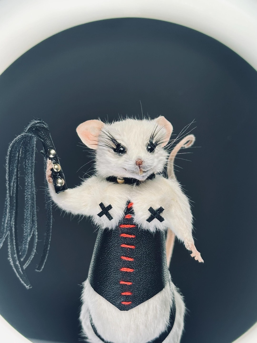 Dominatrix Taxidermy Mouse | BDSM Oddities Art – Leather Corset ...