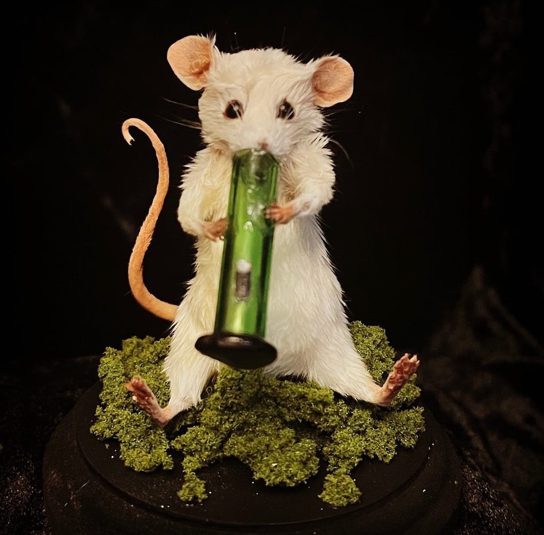 Mary Jane | Taxidermy Mouse With Bong | Ethical Oddities | Stoner Shelf ...