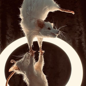 Amazing Acrobats - Etsy