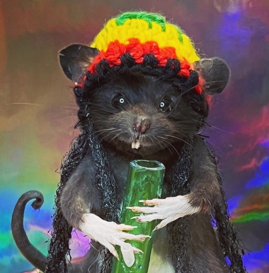 Rasta Rat - Etsy