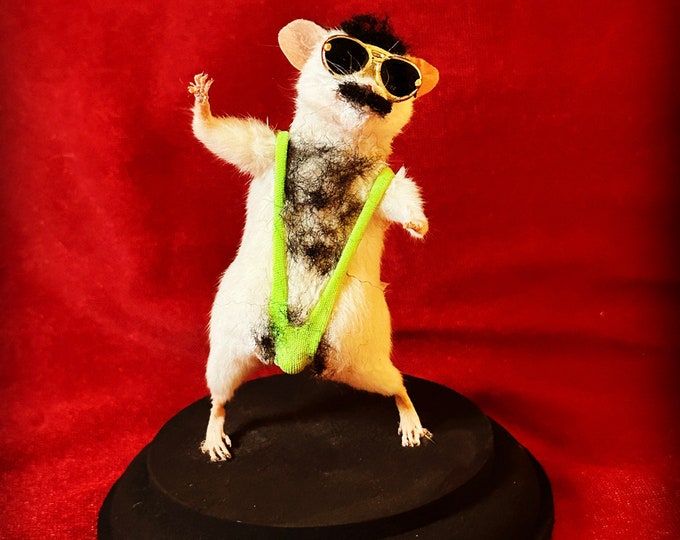 Taxidermy Mouse Pope Francis - Etsy