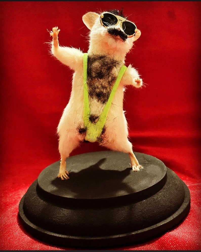 Borat Mankini Taxidermy Mouse | Funny Comedy Oddity | Ethical Gag Gift ...