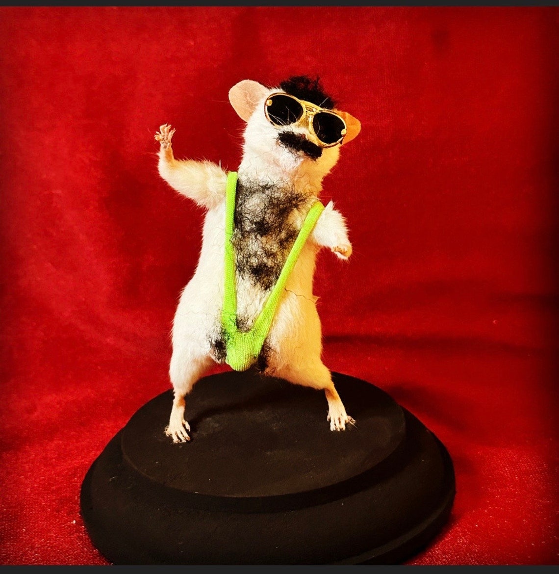 Borat Mankini Taxidermy Mouse | Funny Comedy Oddity | Ethical Gag Gift ...