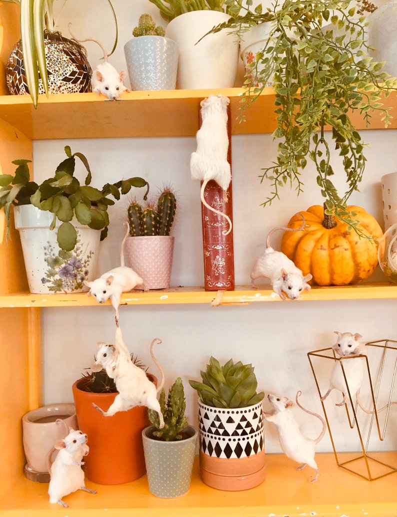 Hanging Mouse - Etsy UK