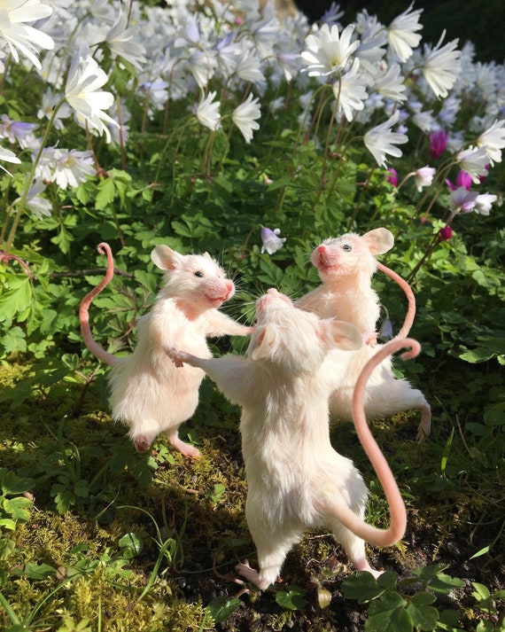 Dancing Mice | Etsy UK