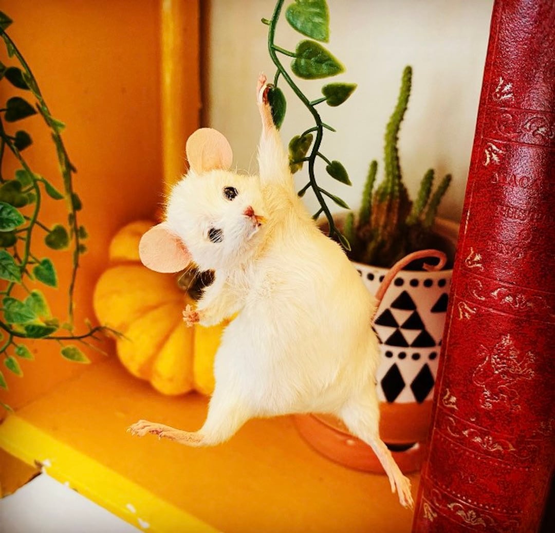 Hanging Mouse - Etsy UK