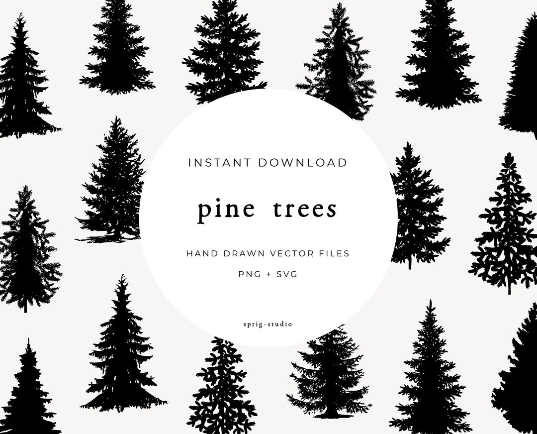 Pine Tree Silhouette Clipart - Christmas Tree Clipart, Silhouettes Clip ...