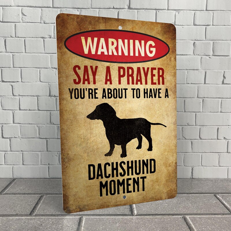 Dachshund Outdoor Christmas - Etsy