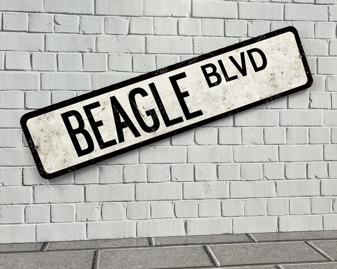 Beagle Street Sign, Aluminum With White Distressed Design, Waterproof ...