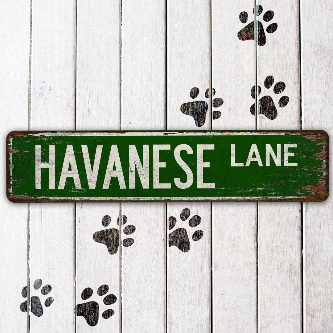 Havanese Street Sign, Distressed Metal Pet Decor, Unique Dog Lover's ...