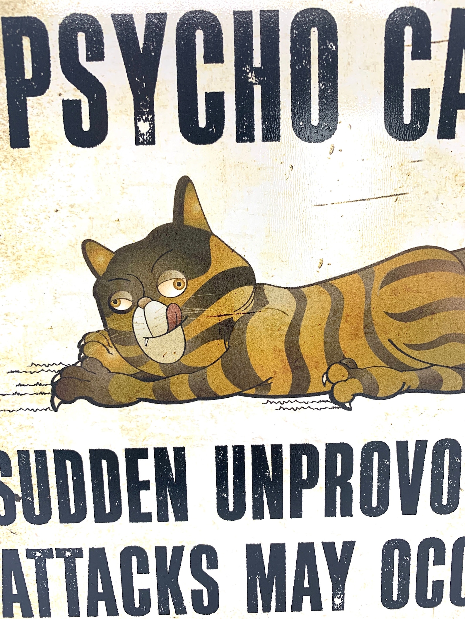 Psycho Cat Funny Metal Sign Perfect Gift for Cat Lovers - Etsy