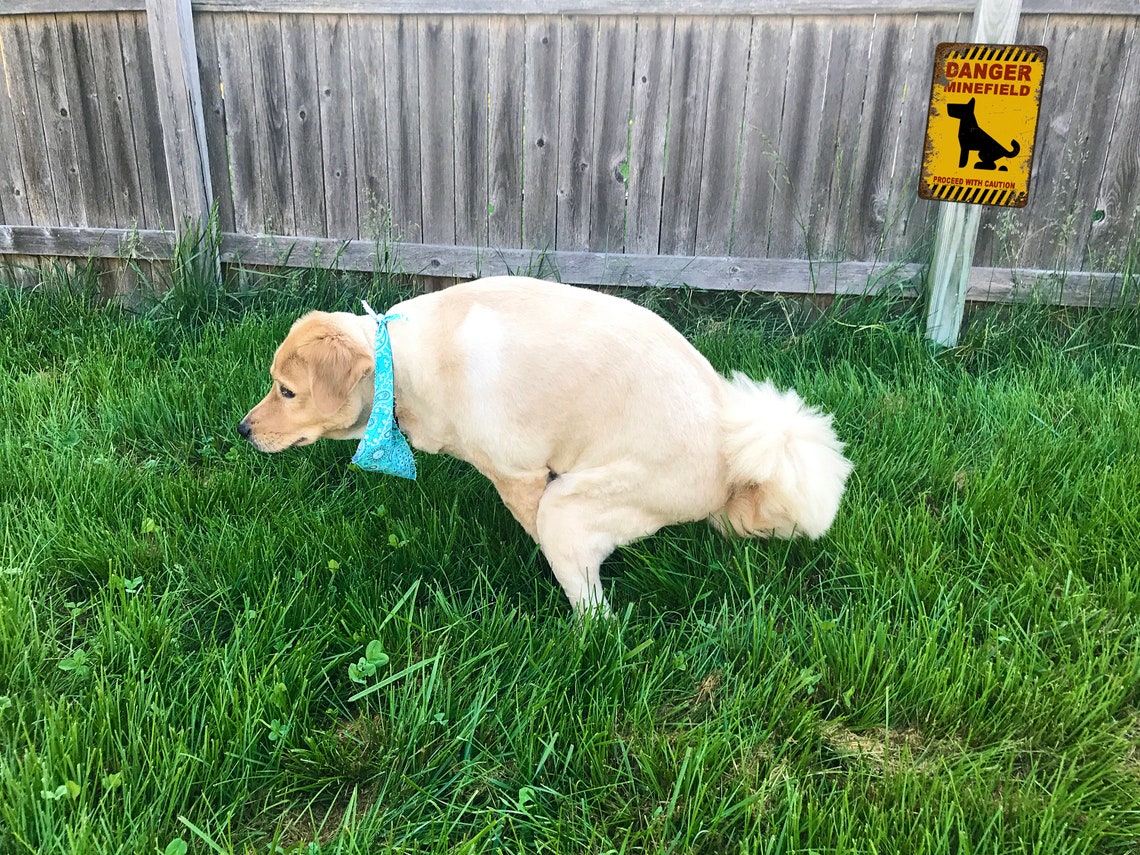 Dog Poop Sign Funny Metal Sign for Dog Owners Rustic Aged | Etsy