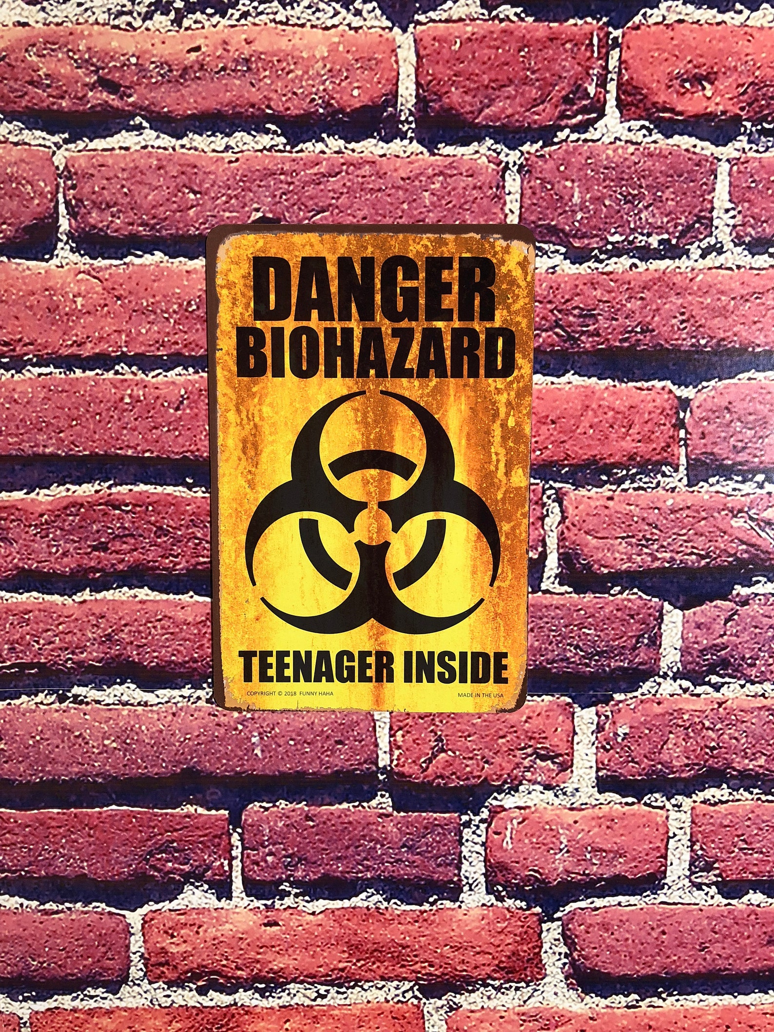 Teenager Biohazard Funny Metal Sign - Etsy