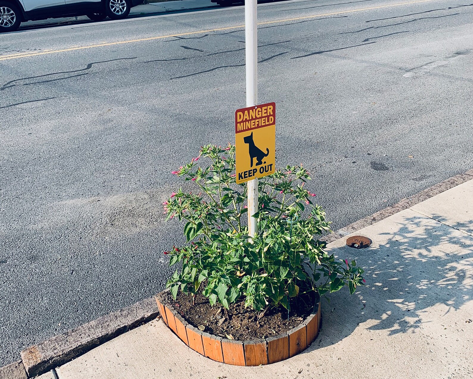 Funny Dog Sign Danger Minefield Poop Zone Metal Sign - Etsy UK