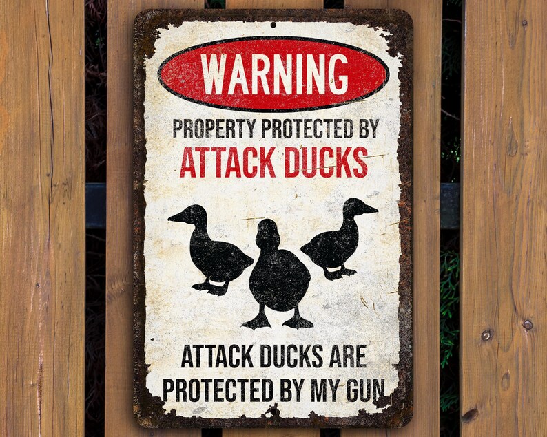 Duck Sign Property Protected by Ducks Funny Duck Decor - Etsy