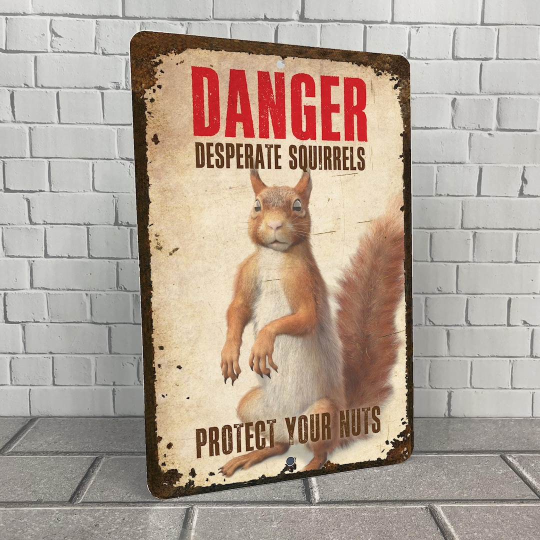 Squirrel Sign | Danger Desperate Squirrels - Protect Your Nuts | Funny ...