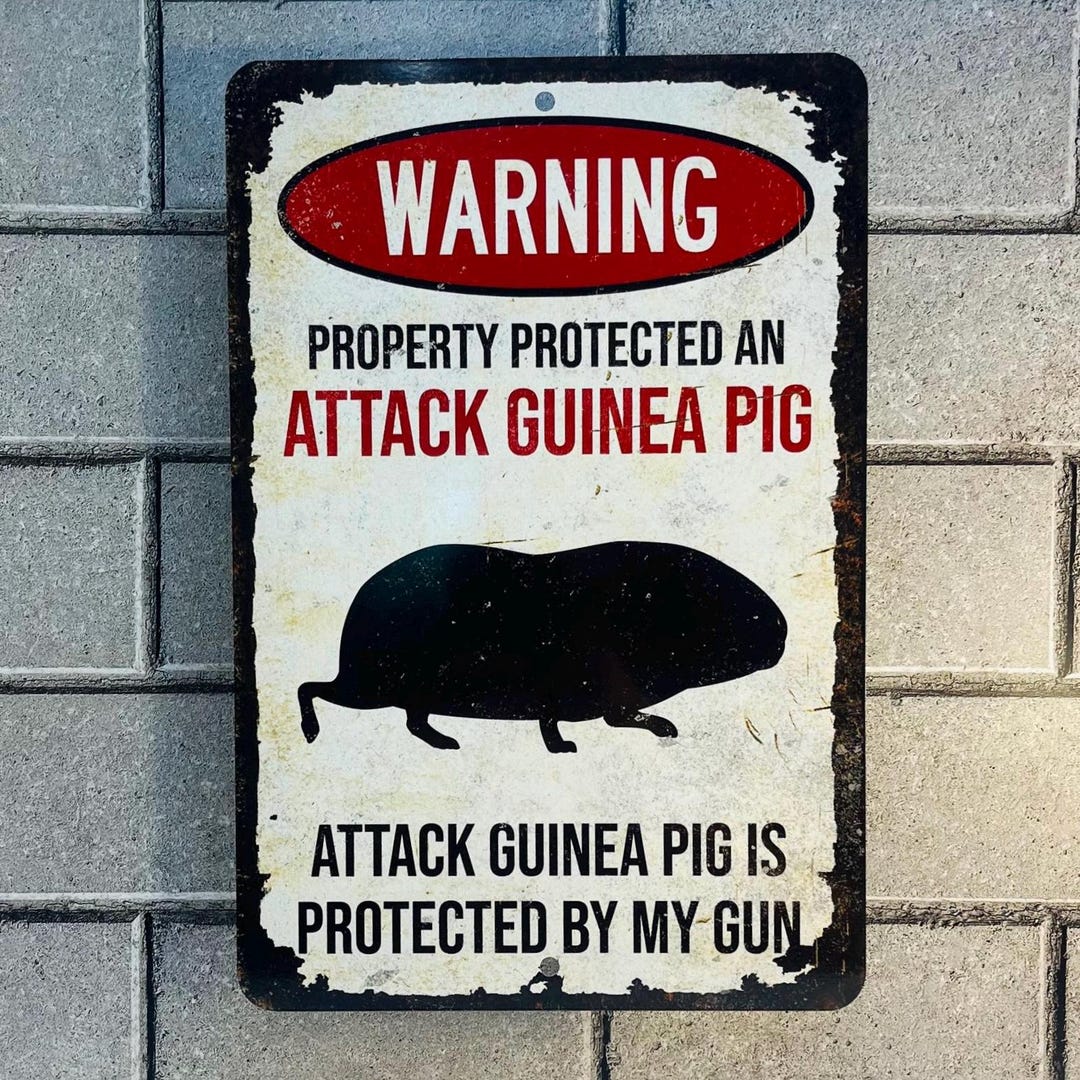 Funny Guinea Pig Warning Sign Unique Pet Lover Gift Funny Gun Owner ...
