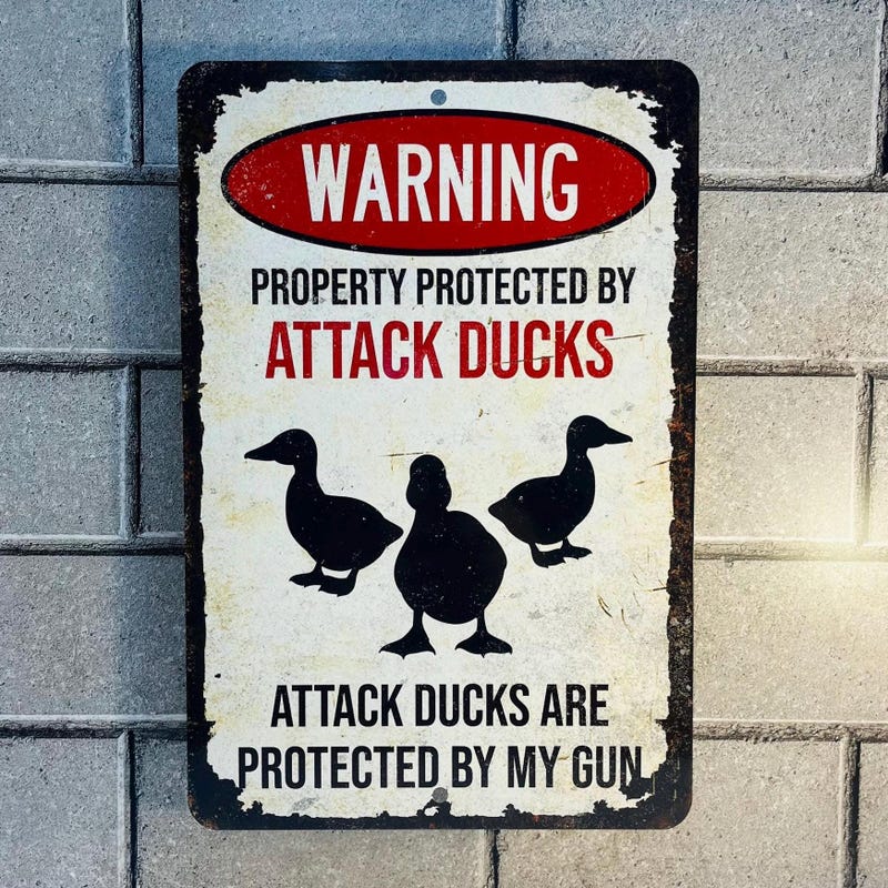 Duck Signs - Etsy