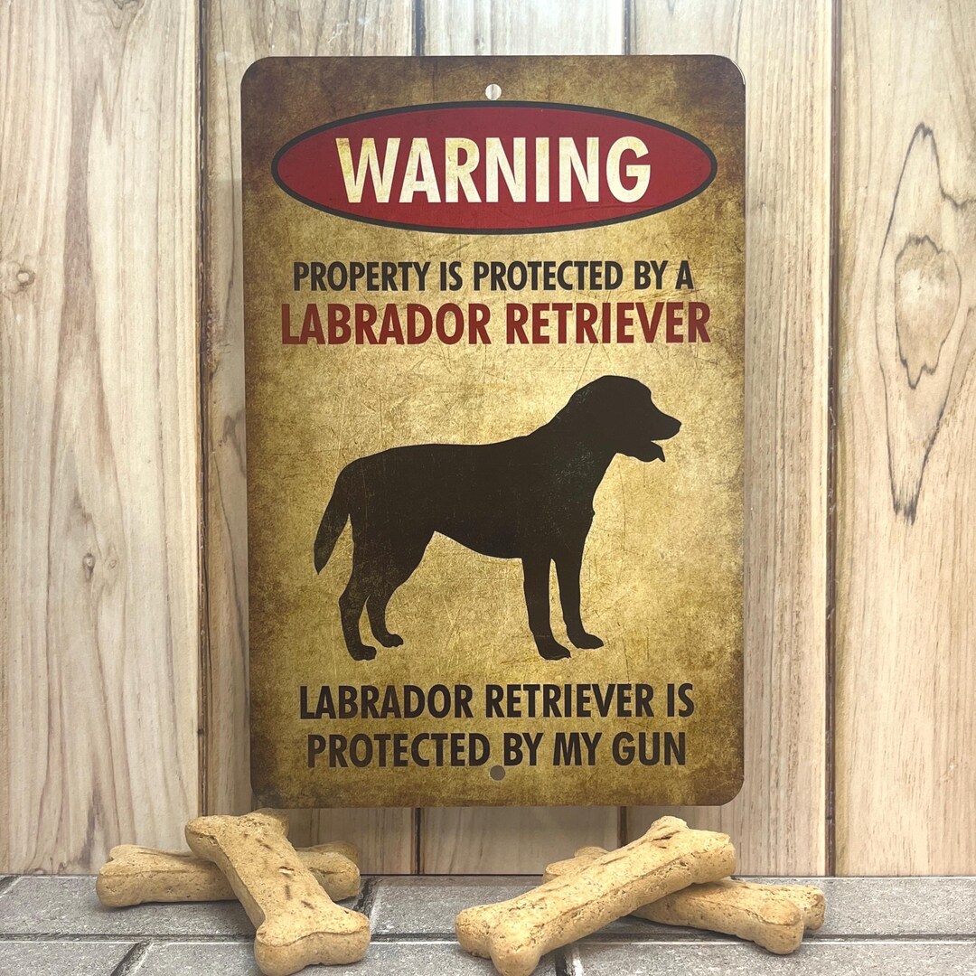 Labrador Retriever Sign Beware of Dog Sign Warning Property Protected ...