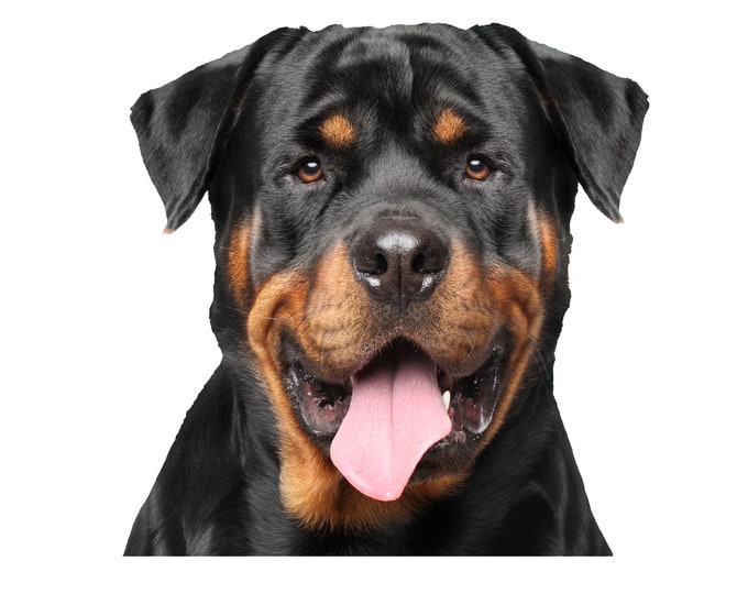 Rottweiler Double Sided Window Decal - Etsy