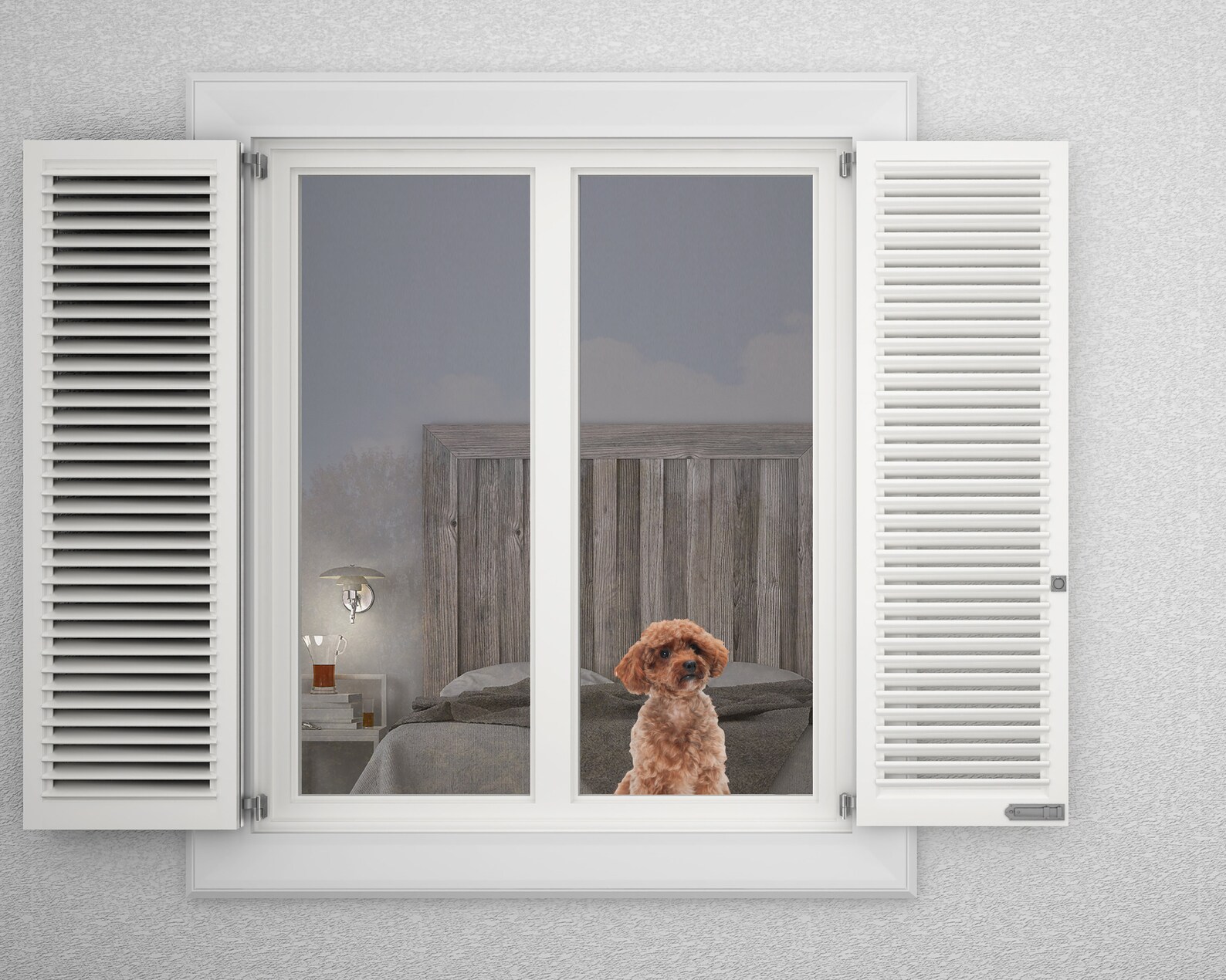 Window Pup - Poodle (baby) Realistic Double Sided Window Cling - Etsy