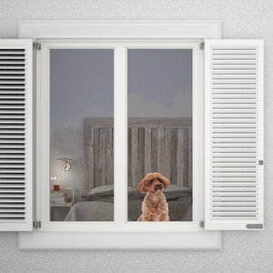 Window Pup - Poodle (baby) Realistic Double Sided Window Cling - Etsy