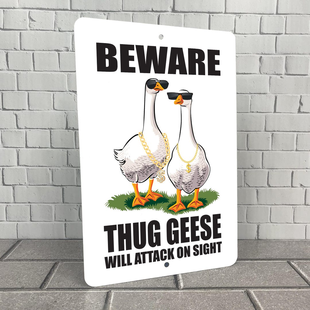 Beware of Geese Sign, Funny Thug Goose Outdoor Decor - Etsy